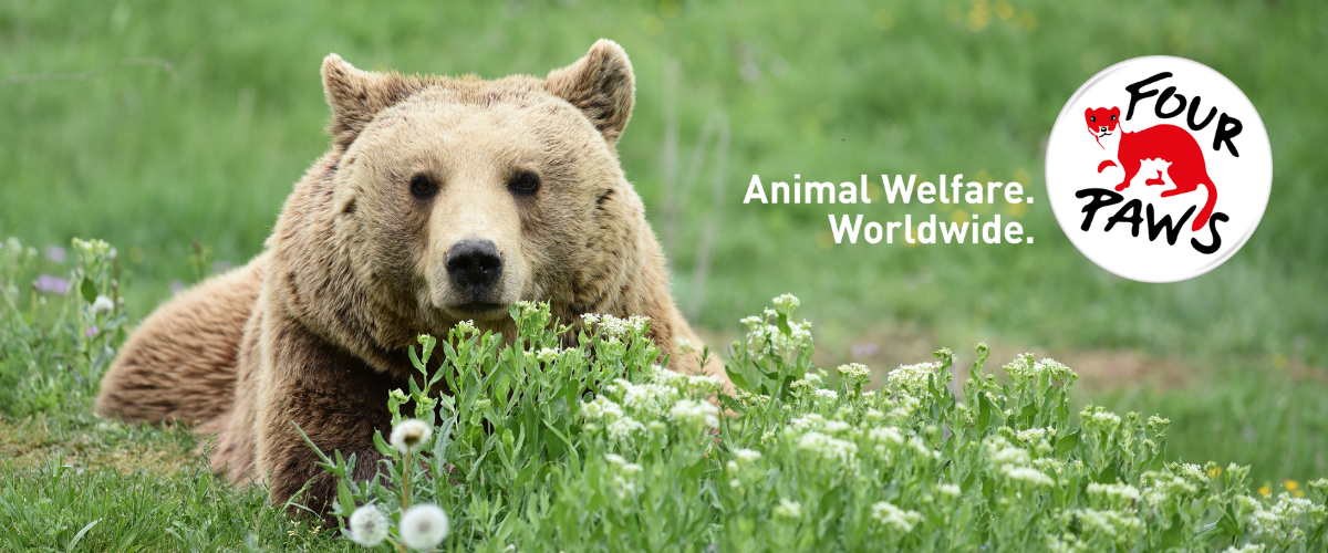 FOUR PAWS Australia Preference Centre